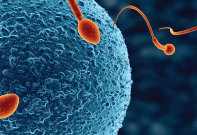 Female Infertility Treatment | Indore Infertility Clinic