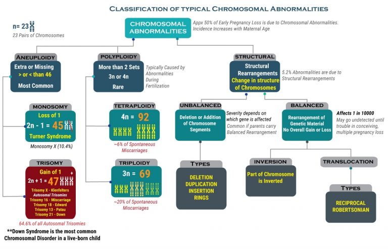 Types of Genetic Abnormalities in Embryos
