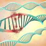 DFI – DNA Fragmentation Index | Indore Infertility Clinic