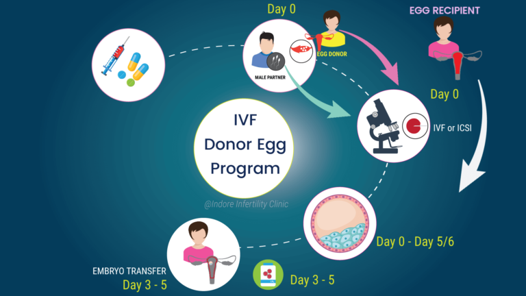 Guide to IVF with Donor Egg Program with FAQs