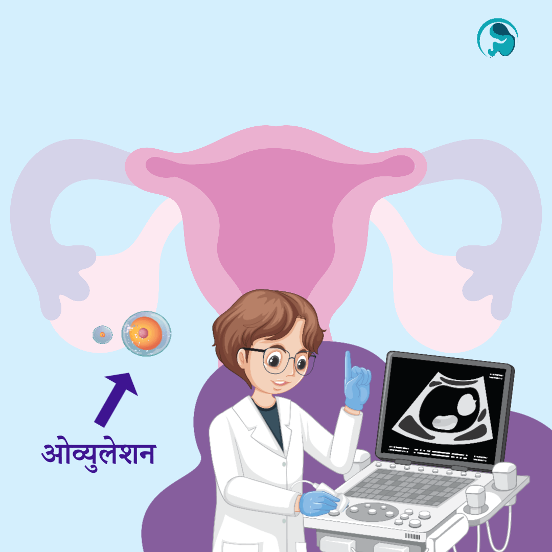 OvulationStudy | Get best solution on IVF at IVF Center Indore| #1 ...