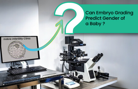 A Patient’s Guide to Embryo Grading - How Good Are My Embryos?