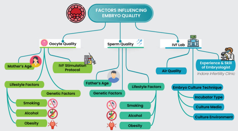 A Patient’s Guide to Embryo Grading - How Good Are My Embryos?