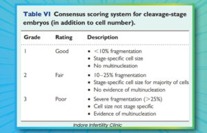 A Patient’s Guide to Embryo Grading - How Good Are My Embryos?