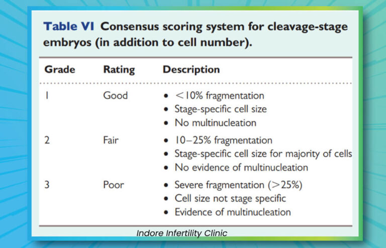 A Patient’s Guide to Embryo Grading - How Good Are My Embryos?